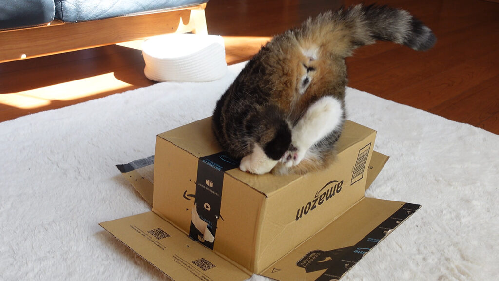 私信 まるです。 | ページ 24