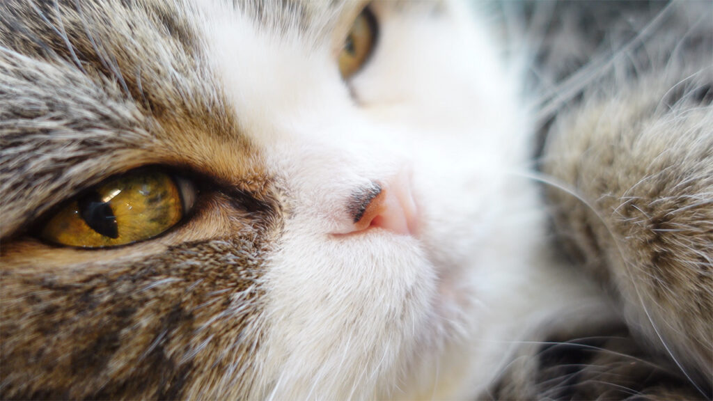 私信 まるです。 | ページ 7