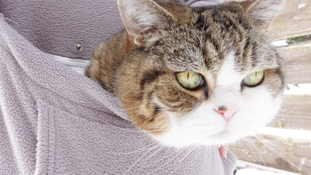 私信 まるです。 | ページ 2